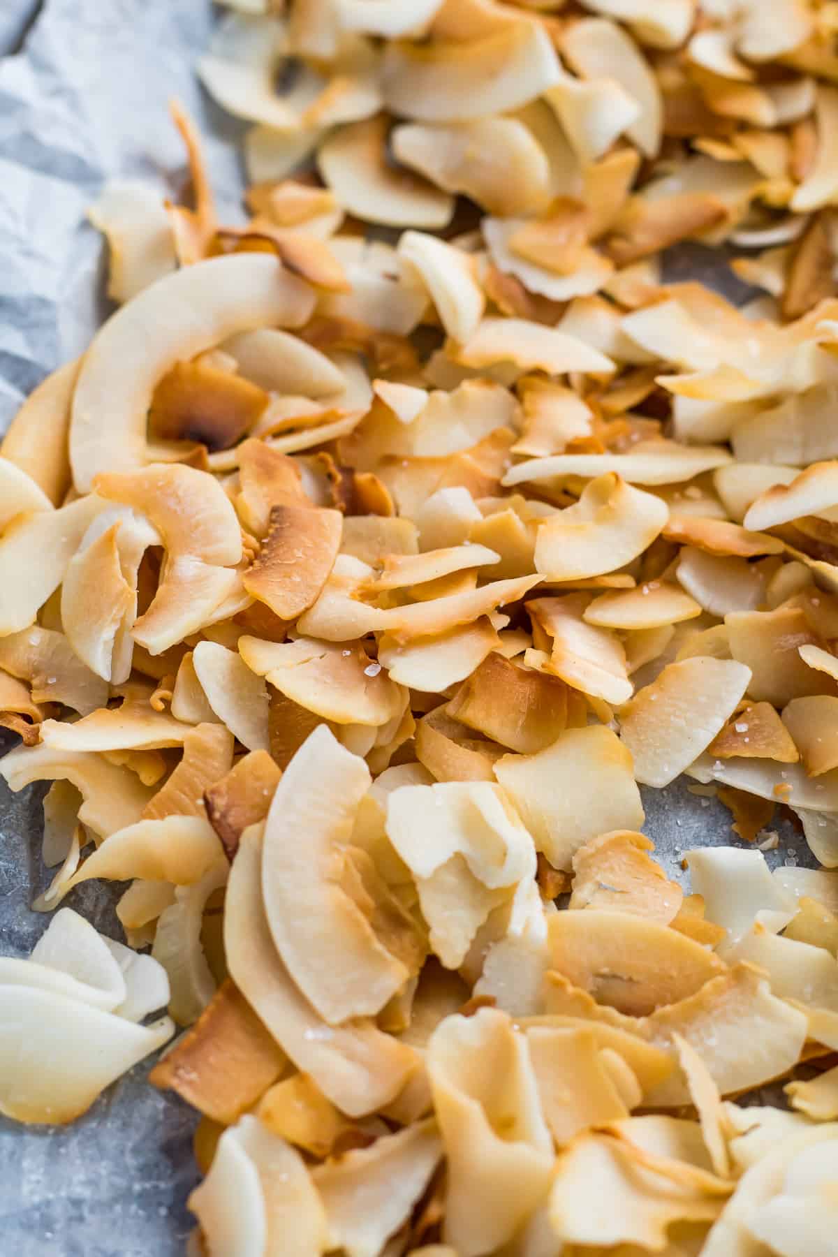 Toasted Coconut Chips Recipe (Just 2 Ingredients!)