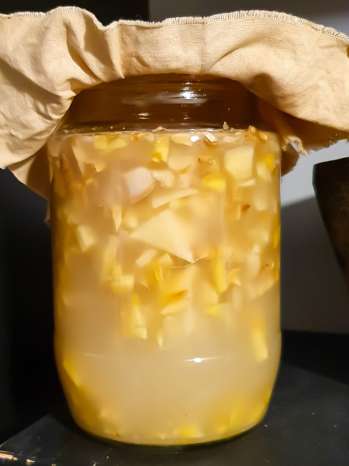 Homemade Ginger Bug Recipe for Wild Fermented Sodas