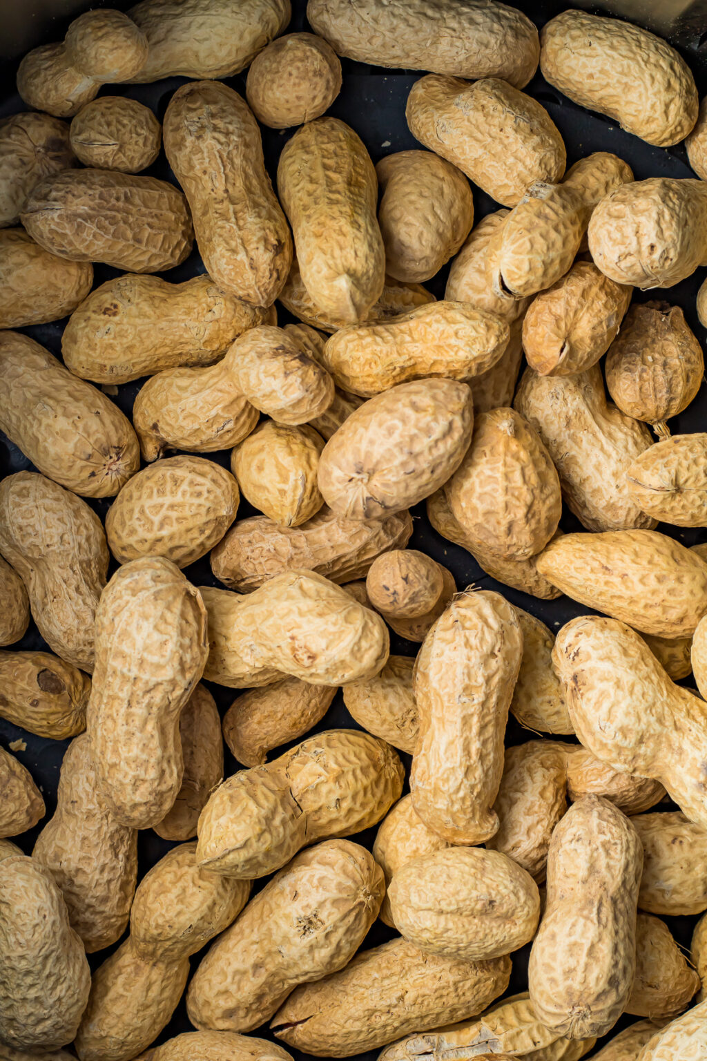Air Fryer Peanuts in the Shell (Ready in 12 Mins!)