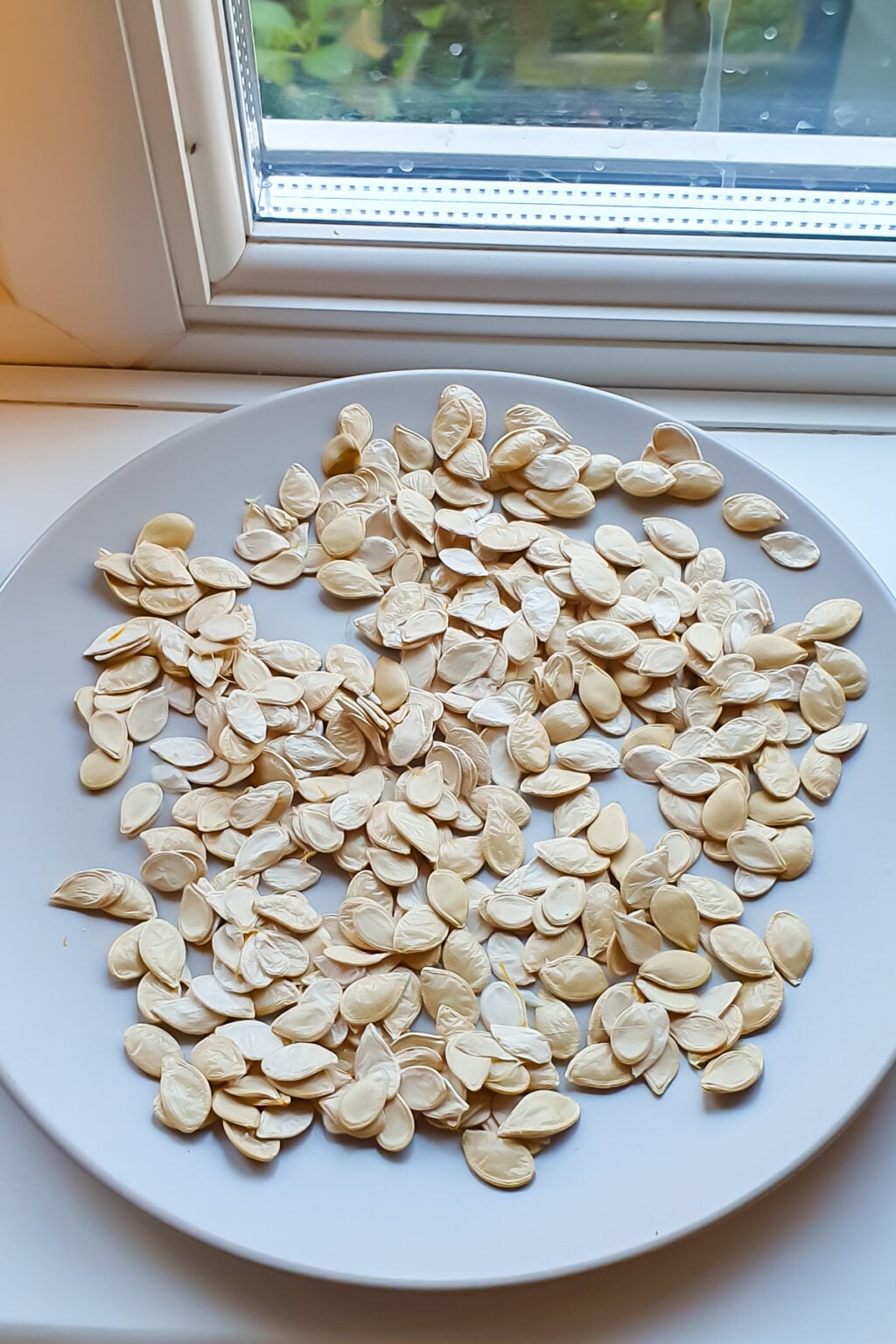 Easy Roasted Acorn Squash Seeds (+6 Seasoning Ideas!)